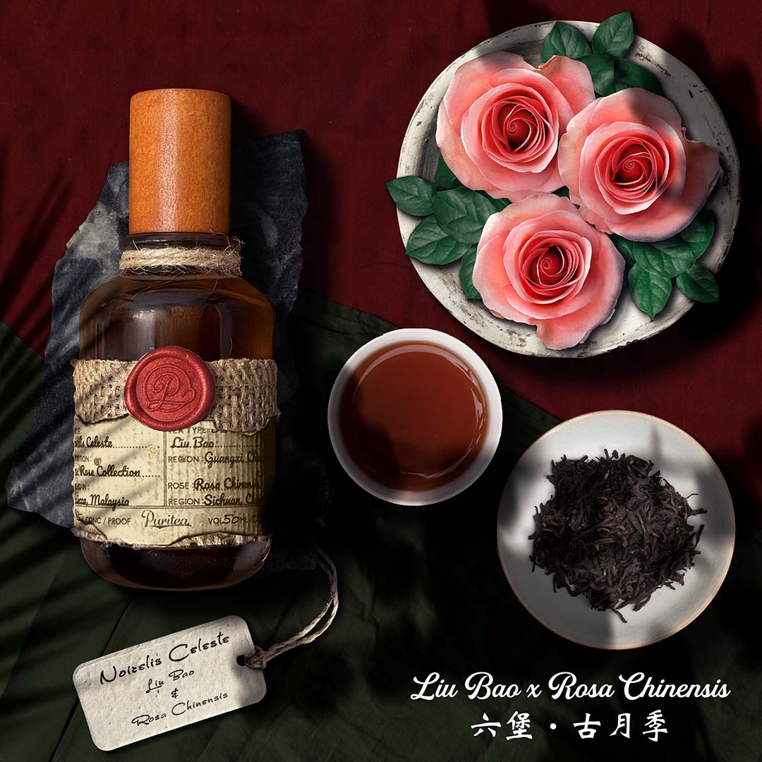 Tea & Rose Perfume - Noirelis Celeste – UNPLUG MOVEMENT SDN. BHD ...